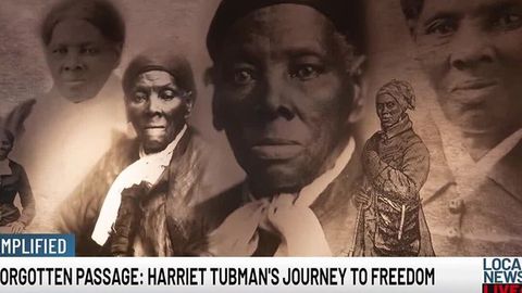 The Forgotten Passage: Harriet Tubman's Journey to Freedom | Haystack News