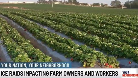 Ice raids impacting farm owners and workers | Haystack News