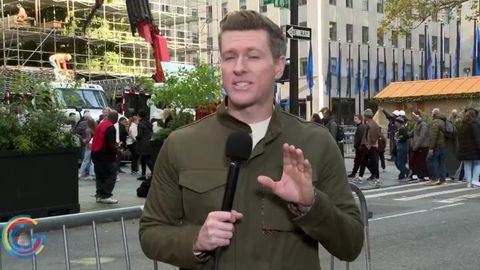 Famous “30 Rock” tree already from Massachusetts already drawing ...