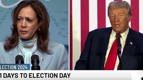 11 days until Election Day | Haystack News