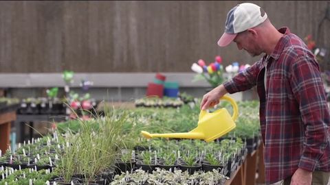 Montana's unpredictable spring weather requires gardeners to balance ...