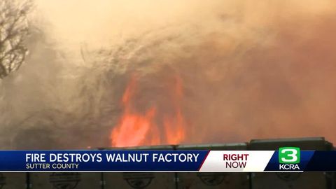 Fire breaks out at walnut processing facility in Sutter County ...