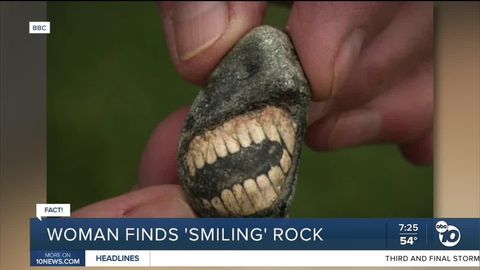 Fact or Fiction: Photo shows fossilized rock with set of human-looking ...