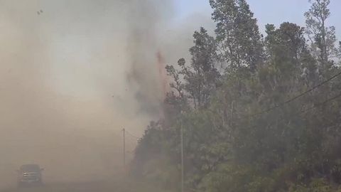 Brush fire breaks out in Mountain View area, flames reach tree level ...
