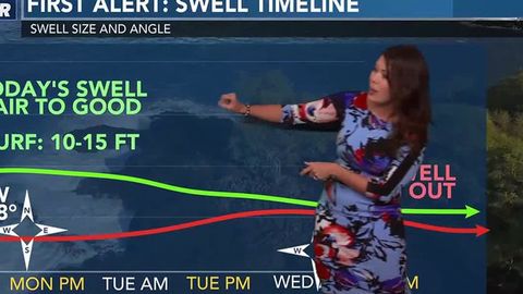 Hawaii News Now -3.24 Meteorologist Jen Robbins - Tracking spring ...