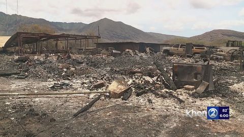 Woman, 94, dies from Maili wildfire; HFD continues investigation | Haystack News