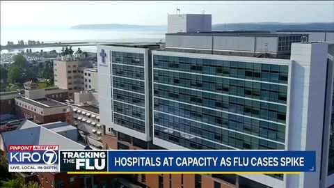 Hospitals at capacity as flu cases spike | Haystack News