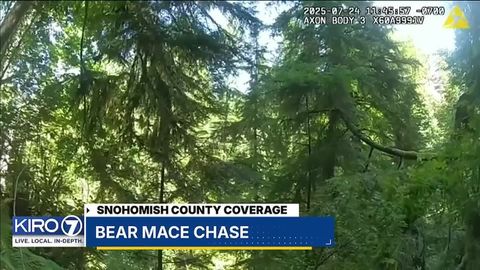 Deputies chase man accused of attacking someone with bear mace ...