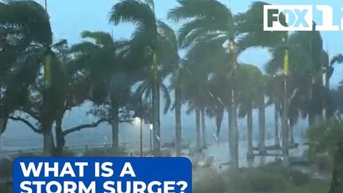 What effects of Hurricane Milton's storm surge could look like ...