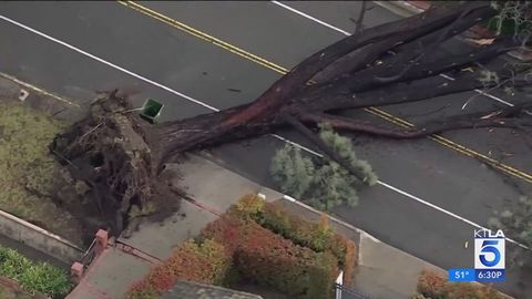 Crews work to cleanup winter storm damage across SoCal | Haystack News