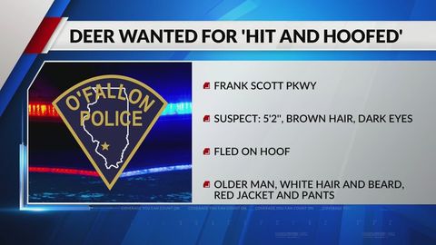 Close call with Santa? Illinois police report seeks hoofed suspect and ...