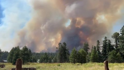 Historic Grand Canyon Lodge destroyed as massive wildfires burn ...