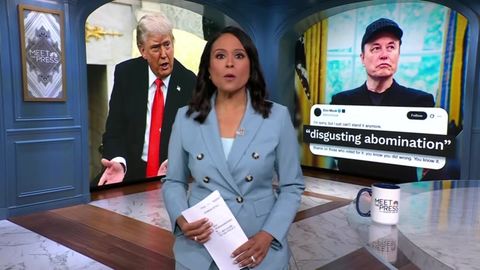 Trump says he has no desire to reconcile with Elon Musk in new interview | Haystack News