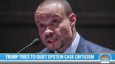 Trump Faces Revolt From MAGA Base Over Epstein Files | Haystack News