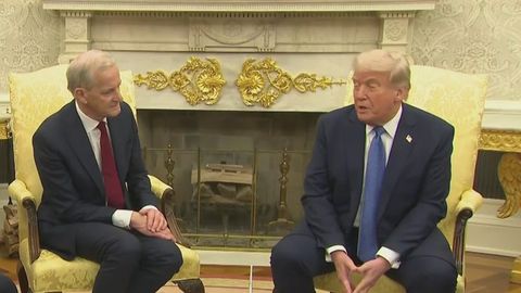 Witkoff to meet Putin in Russia for ceasefire talks | Haystack News