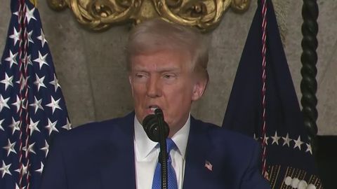 Judge warns of Musk's 'unchecked authority' in DOGE ruling | Haystack News