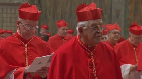 Cardinals prepare for conclave to elect next pope | Haystack News