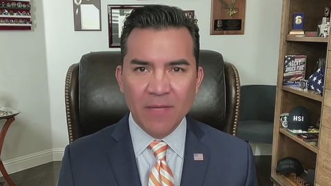 Temporary protective status ‘abused’ by Biden administration: Former ...