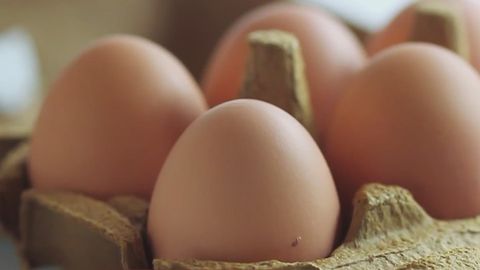 Border Patrol crack down on egg smuggling | Haystack News