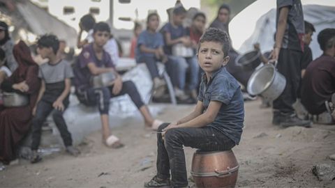 Israel resumes airdrops over Gaza as mass hunger persists | Haystack News
