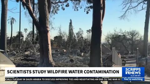 Scientists look at water contamination from wildfire runoff in ...