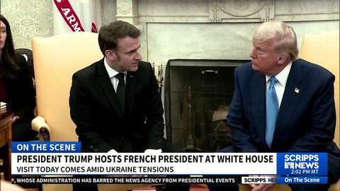 President Trump meets with French president at White House | Haystack News