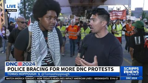 DNC protest organizer blames Democratic leadership for 'genocide' in ...