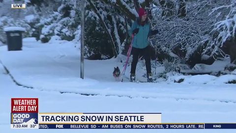 Snowfall in Seattle brings out neighborhood skiers | Haystack News