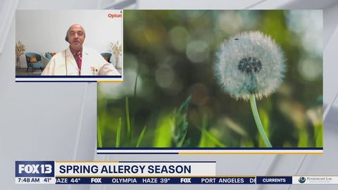 First day of spring: Preparing for allergy season | Haystack News