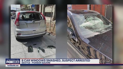 Seattle car smashing spree causes $20K in damages | Haystack News