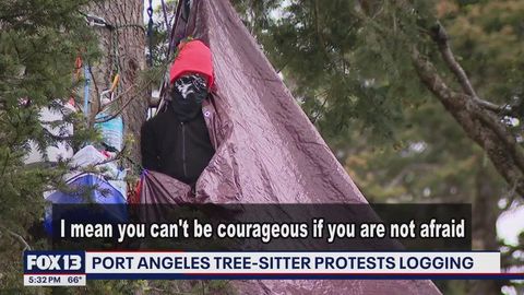 Tree-sitter protests Port Angeles logging with human booby trap ...
