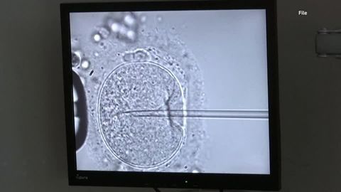 Trump, Merck cut IVF drug costs in tariff relief deal | Haystack News