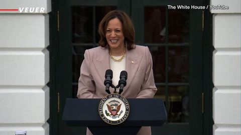 One of VP Harris’s Secret Service Agents Got in a Fight While on Duty ...