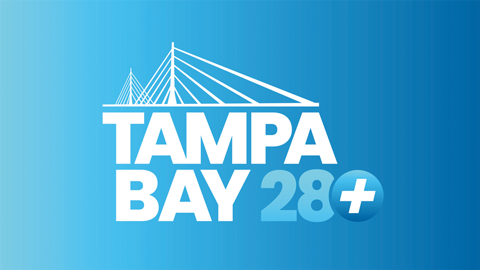 WFTS Live | Haystack News