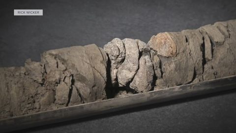 Check out the oldest dinosaur fossil ever found in Denver | Haystack News