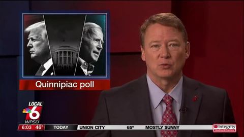 Biden Trump Haley Poll | Haystack News