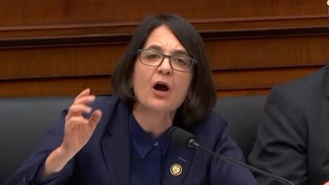 Rep. Becca Balint, Pam Bondi argue over Epstein files, slain border ...