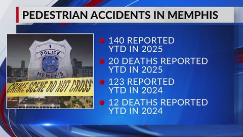 Man dies after being hit by car | Haystack News