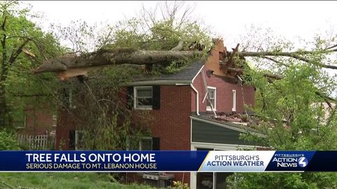 Video shows tree smashing house in Pennsylvania during severe storm ...