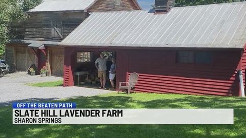 Off the Beaten Path: Slate Hill Lavender Farm | Haystack News