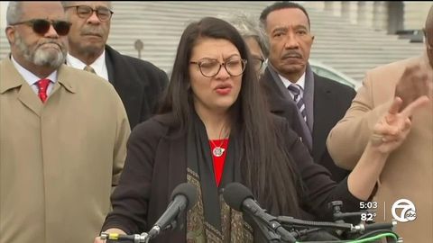 Tlaib cartoon created by Detroit News columnist for other publication ...